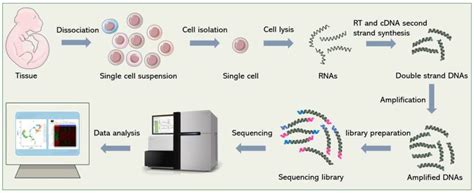 Review Mdpi Microfluidics Rna Cell Biosensors Sensors Openaccess Abstract Biosensors Mdpi