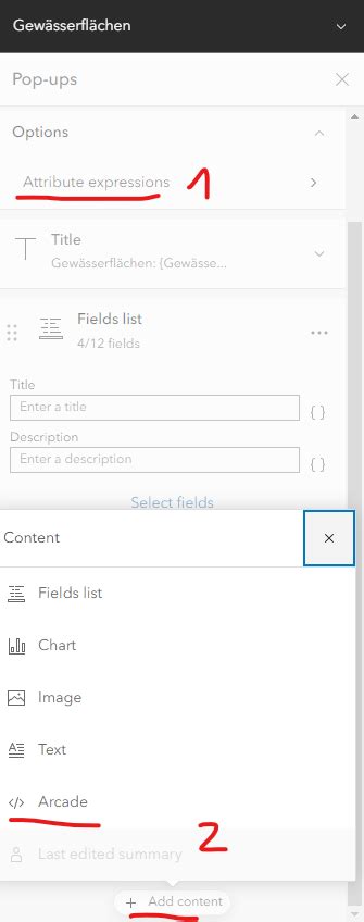 Solved Arcade Expression Correct But Doesnt Show Up In P Esri