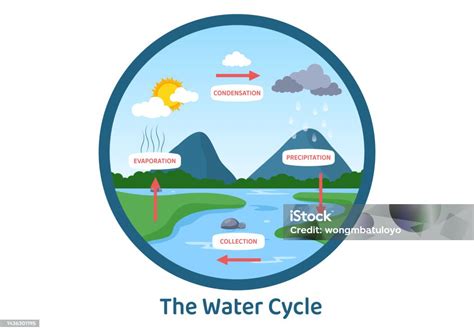 증발의 물주기 응축 평평한 만화 손으로 그린 템플릿 일러스트레이션에 지구 자연 환경에서 수집에 강수량 물에 대한 스톡 벡터 아트