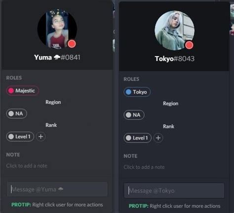 How To Sort Your Roles On A Discord Server With Invisible Characters