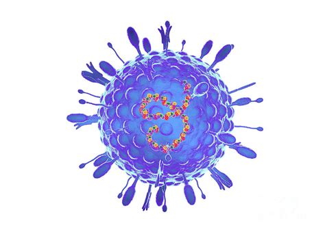 Human Parainfluenza Virus 1 Photograph By Science Photo Library Pixels