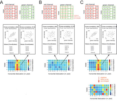 Cross Correlation Code Axelrod Lab Stanford Medicine