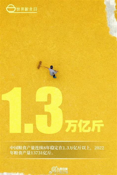 世界粮食日丨珍惜每一粒劳动而来的粮食 澎湃号政务 澎湃新闻 The Paper