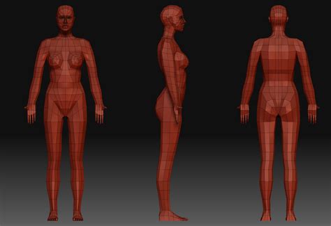 Free Female Base Mesh Nudity By Vudoo ZBrushCentral