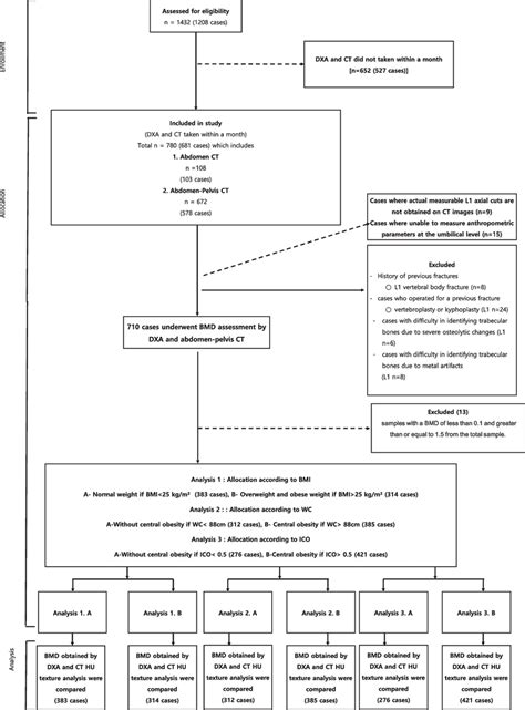 Conceptual Diagram Showing Workflow And Stratification Of Cases Download Scientific Diagram