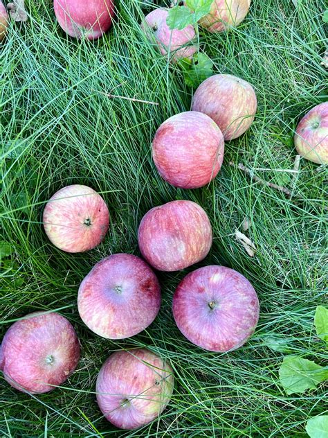 Ексклюзивні меблі Ексклюзивні меблі та техніка з Європи