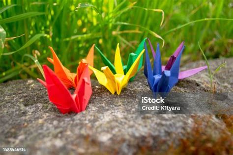 Lgbtq 색상의 종이 학이 함께합니다 자연에서 Lgbtq 커뮤니티 종이 크레인에 플래그를 지정합니다 종이 크레인을 통한 평등과 자유의 개념 0명에 대한 스톡 사진 및 기타