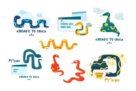 Python Programming Language Illustrations Royalty Free Vector Graphics And Clip Art Istock
