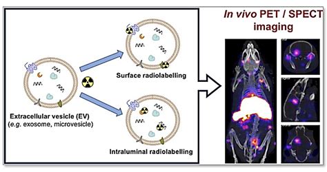 Radioisotopes Diagram