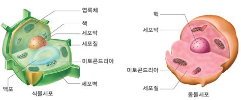 의과대학생명과학 세특 주제탐구 1부 유전자가위crispr에 대한 이해시리즈 제작본 네이버 블로그