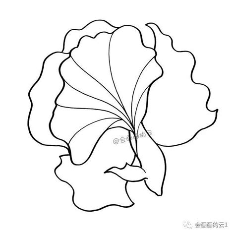 一步一步教画金 一步一步画凯莉 易学的简笔画 第4页 大山谷图库