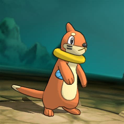 Buizel Pokémon Oras Wiki