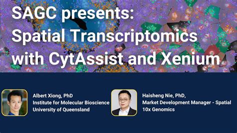 Sagc Spatial Transcriptomics With The Cytassist And Xenium Platforms