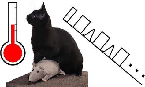 Magnetic Resonance In Chemistry Vol 62 No 4