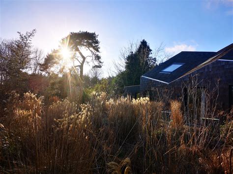 Lessons Learned Ornamental Grasses At Five Acre Barn Gardenista