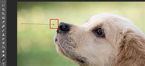 How To Draw An Arrow In Photoshop Tech Lounge