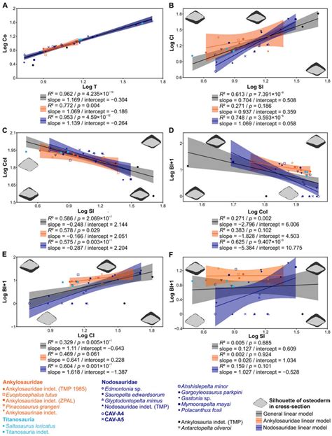 Ankylosaurian Body Armor Function And Evolution With Insights From