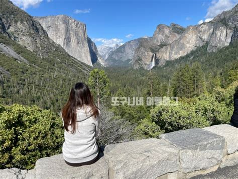 요세미티 국립공원 자유여행 후기 예약 입장료 코스 투어 총정리 네이버 블로그