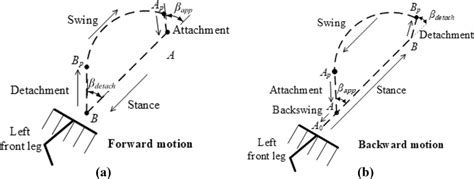 Schematic Diagram Of Foot Trajectories A Foot Trajectory Of The