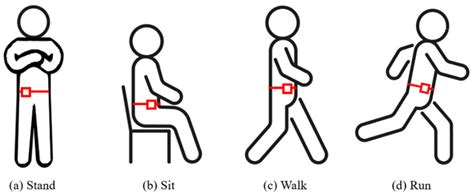 Hybrid Learning Models For Imu Based Har With Feature Analysis And Data Correction