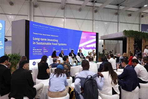 Four New Mba Programs Launching In 2024 Stern At Nyuad