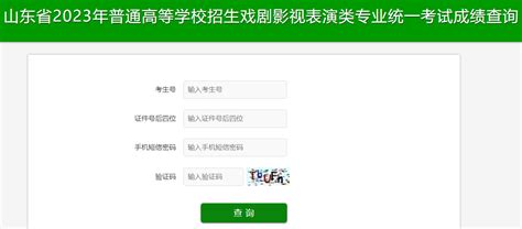 2023年山东潍坊艺考成绩查询入口（已开通）