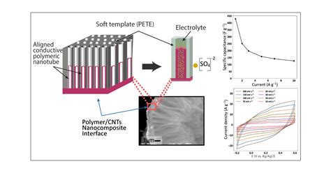 Vertically Aligned Conductive Polymeric Nanotubes Grown On Percolated Multiwalled Carbon