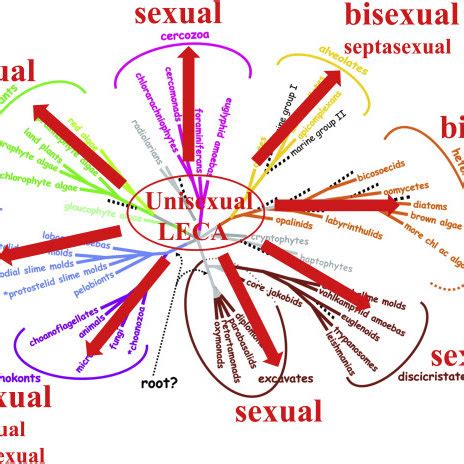 Unisexual Reproduction As An Ancestral And Derived Trait A Download Scientific Diagram