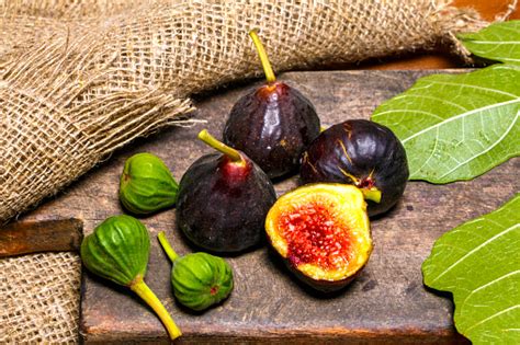 잘 익은 달콤한 무화과 녹색 잎 건강 한 지중해 무화과 무화과입니다 에 삼 베 나무 보드 0명에 대한 스톡 사진 및 기타 이미지 Istock