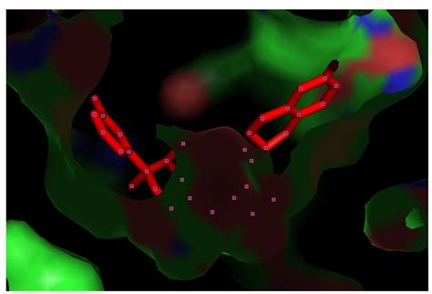Structure Of The Human κ Opioidjdtic Protein Ligand Complex The Ligand Binding Pocket