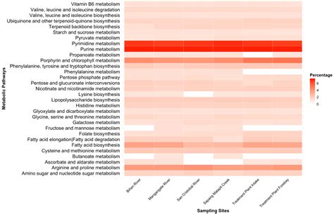 Predictive Functional Profiling Reveals Putative Metabolic Capacities