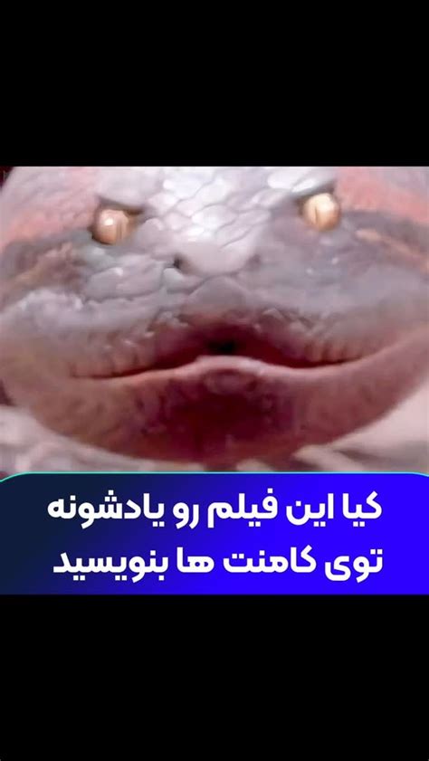 ‎فیلم و سریال‎ ‎🔵بنظرت چرا این کار با بچه هاشون میکنن ؟🟡 📥 جهت دانلود این فیلم کلمه “ قلب و