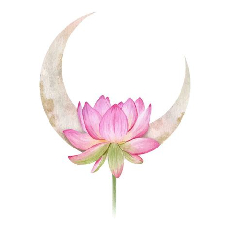 Pink Lotus And Pink Moon Floral Crescent Moon Watercolor
