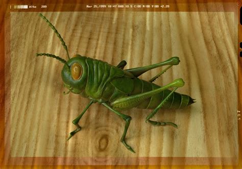 Artstation Grasshopper Tutorial Tutorials