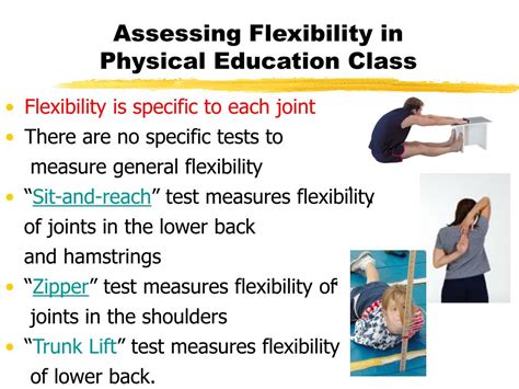 Ppt What Is Flexibility Powerpoint Presentation Free Download Id