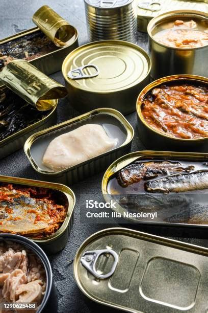 다양한 종류의 생선과 해산물을 곁들인 통조림 생선을 보존하고 새트리 고등어 스프라트 정어리 필차드 오징어 참치 회색 돌 표면 측면 보기로 캔을 열고 닫은 캔을 보존합니다
