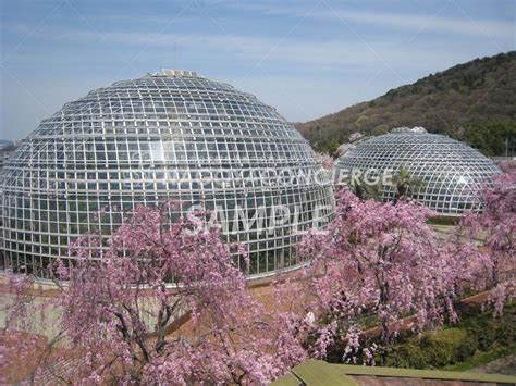 01東谷山フルーツパーク 温室1 東谷山フルーツパーク 【公式】名古屋市観光情報「名古屋コンシェルジュ」