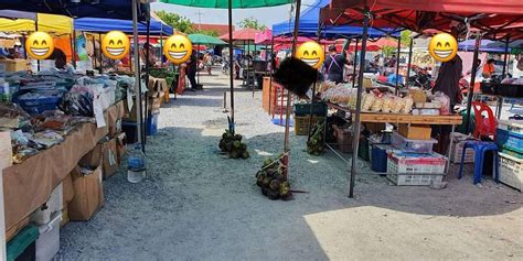 ตลาดน่าเที่ยว นครปฐม ตลาดคลองถมวัดไร่ขิง ตลาดคลองถ Samsung Members