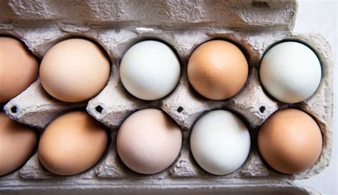 Eggs 101 Sustainability In Egg Farming Healthy Nibbles By Lisa Lin