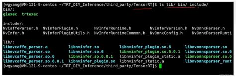Tensorrt入门实战tensorrt Plugin介绍以及tensorrt Int8加速tensorrt实战 Csdn博客