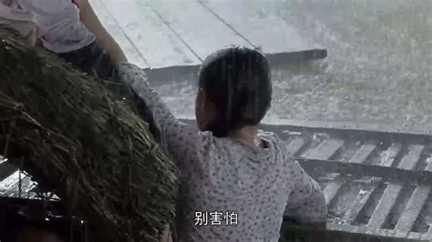 兰桐花开01 荔枝网