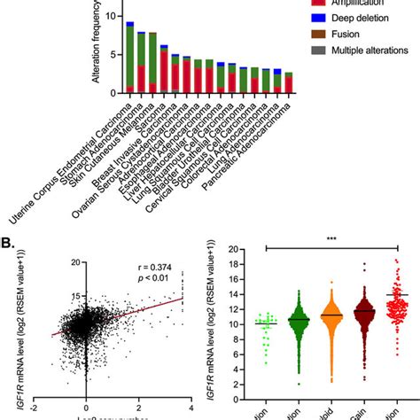amplification of igf1r copy number is frequent in several common types