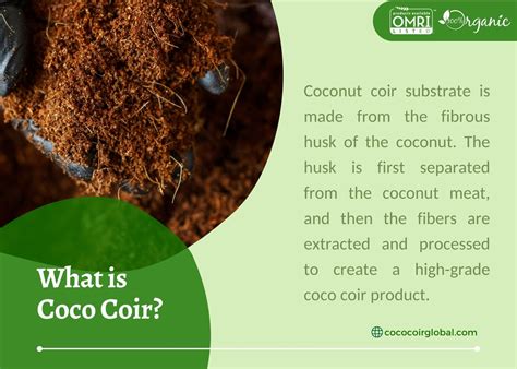 Global Coconut Coir Substrate Supplier Coco Coir Global