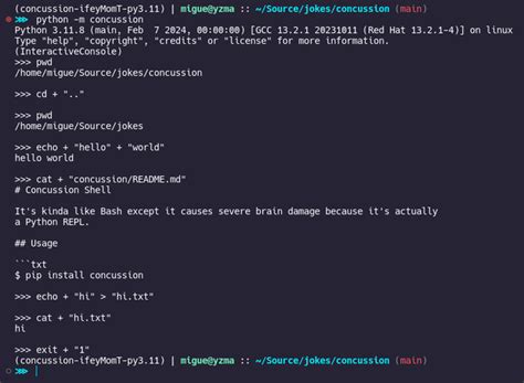 Yes This Is A Shell That Is Actually A Python Repl Rprogramminghorror