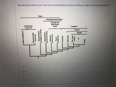 Answered Including The Whole Tree How Many… Bartleby