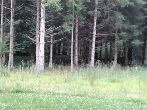 Minecraft Creepypasta The Rake