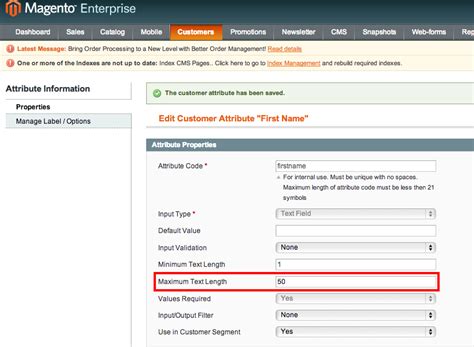 Admin Retrieve Customer Attribute Properties Magento Stack Exchange