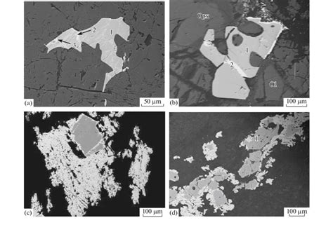 Chromite Mineralization In Dunite And Harzburgite A Replacement Of Download Scientific
