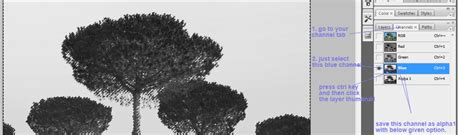 How To Quickly Cut Tree Background In Photoshop A THEORY