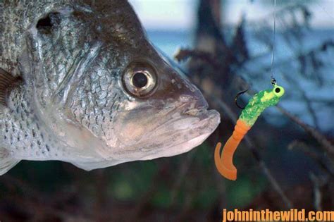 Learning More Offbeat Tactics For Catching Crappie John In The WildJohn In The Wild John E